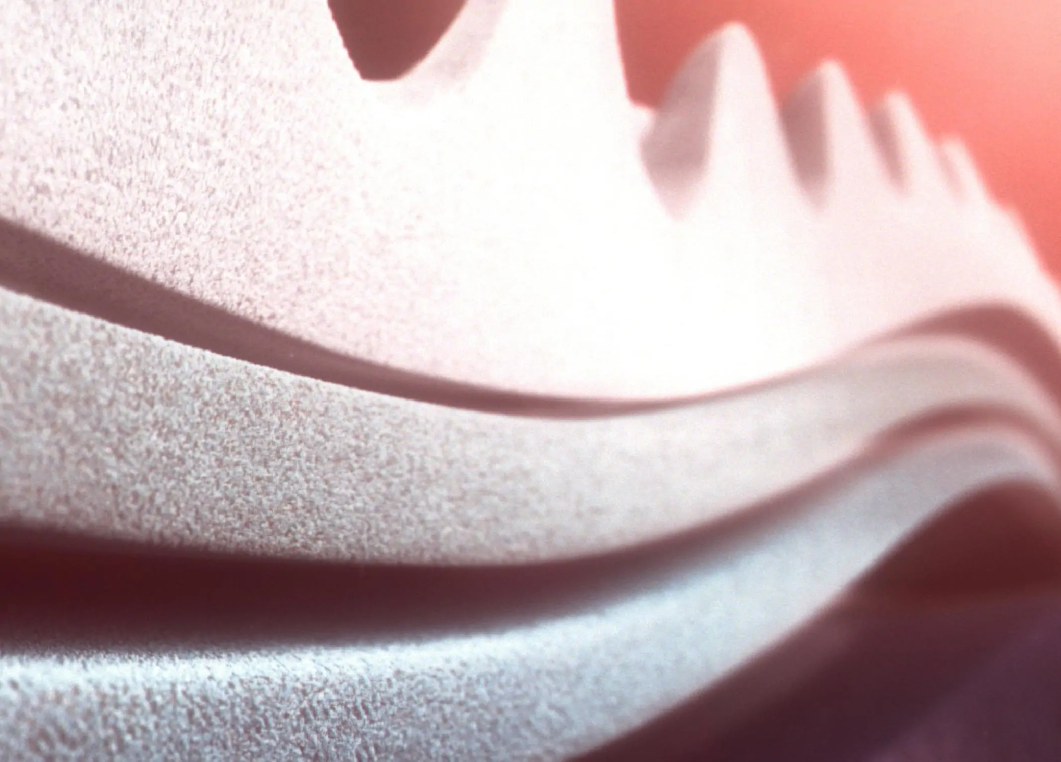 Model Availability | Sealy Malaysia